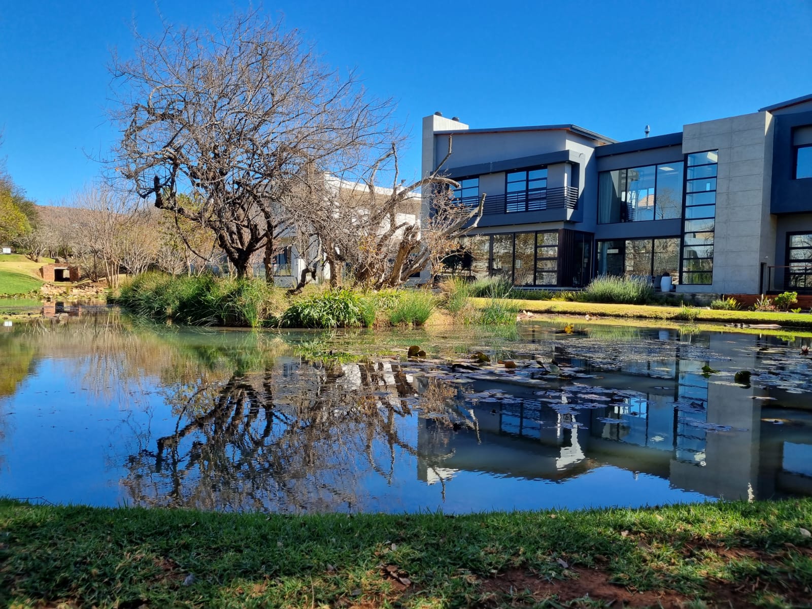 Freestyle Gardens - Freestyle Group - Home